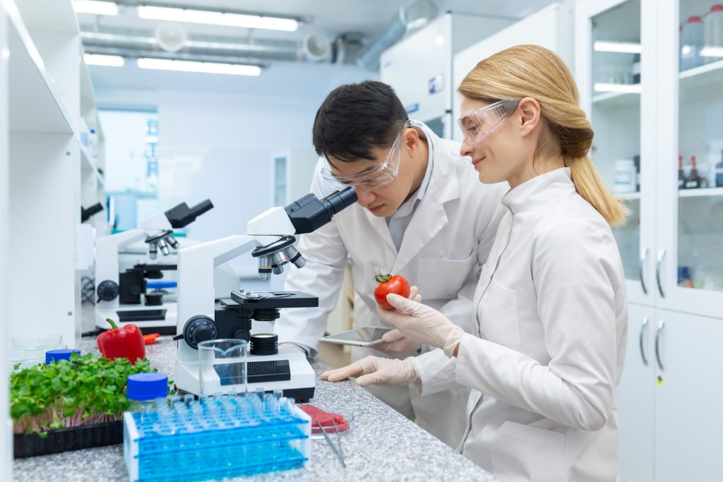 Training Calendar - Qpulse